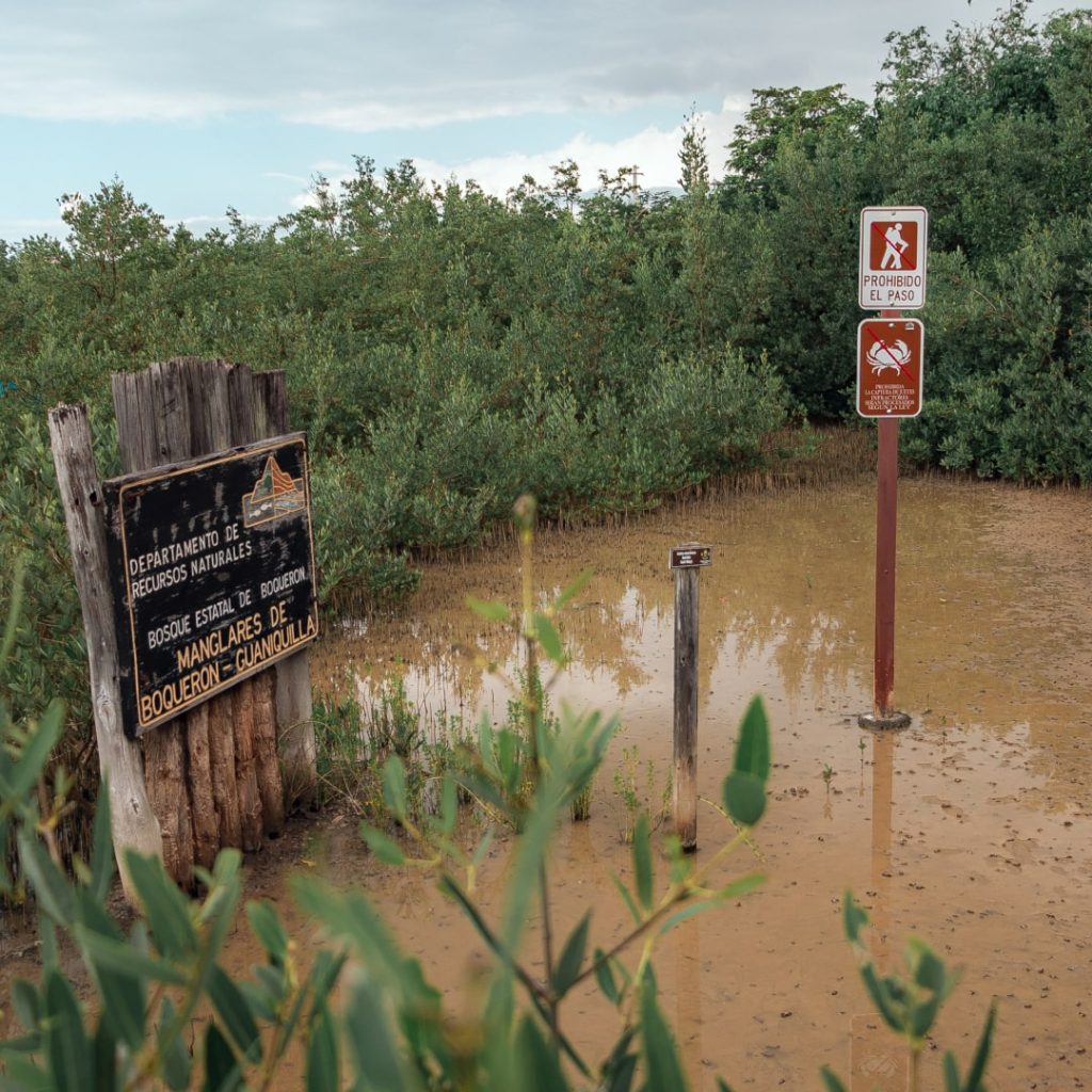 Bosque Estatal de Boquerón - Ciudad Cabo Rojo
